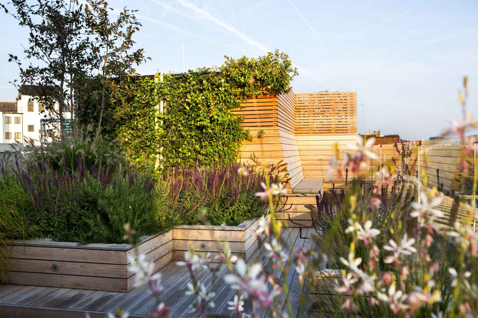 What Is Gardening - Town & Country Gardens